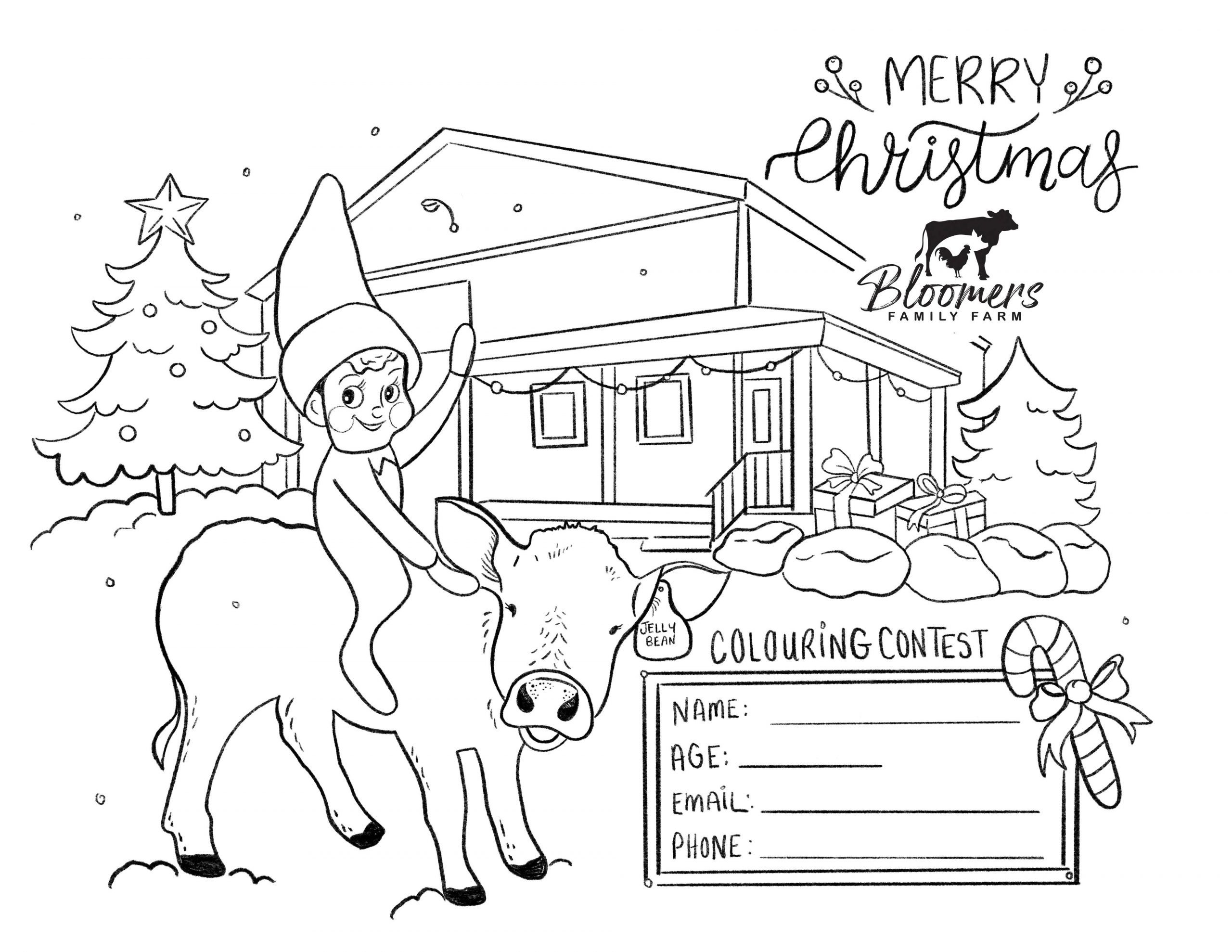 Events - Bloomers Family Farm